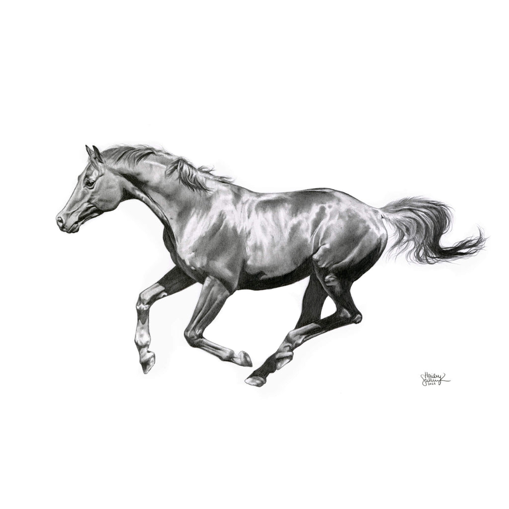 "Power" | Equine Art by Hailey Sullivan – the collected horse