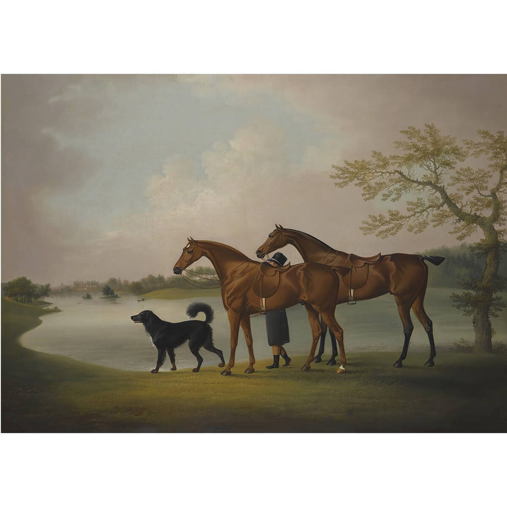"Pair of Hunters" | Vintage Equestrian Portrait – the collected horse